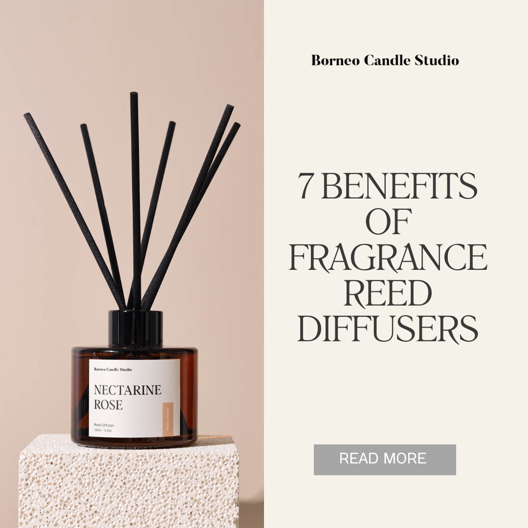 7 Benefits of Reed Diffusers - Borneo Candle Studio