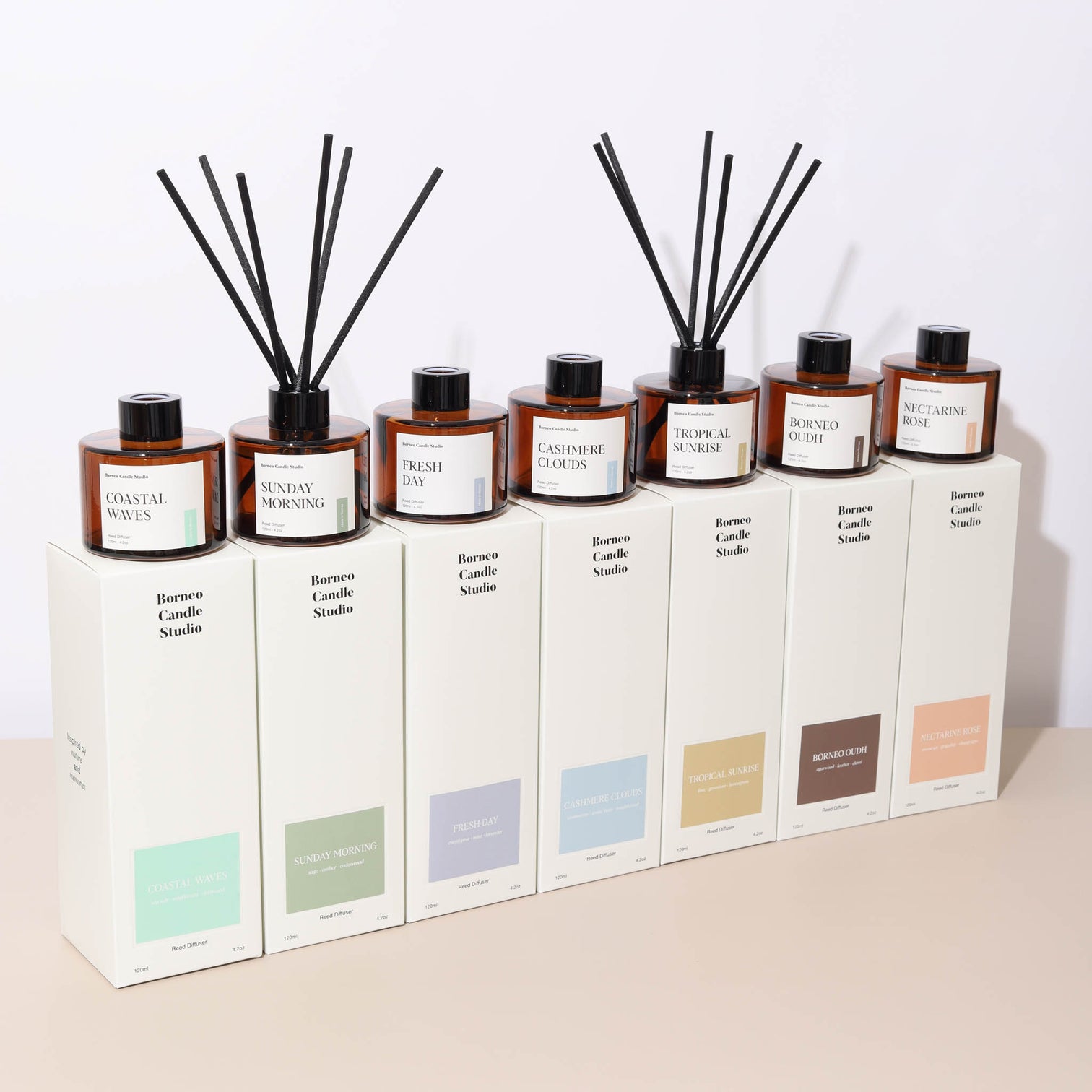 Borneo Candle Studio | Soy Candles & Home Fragrances